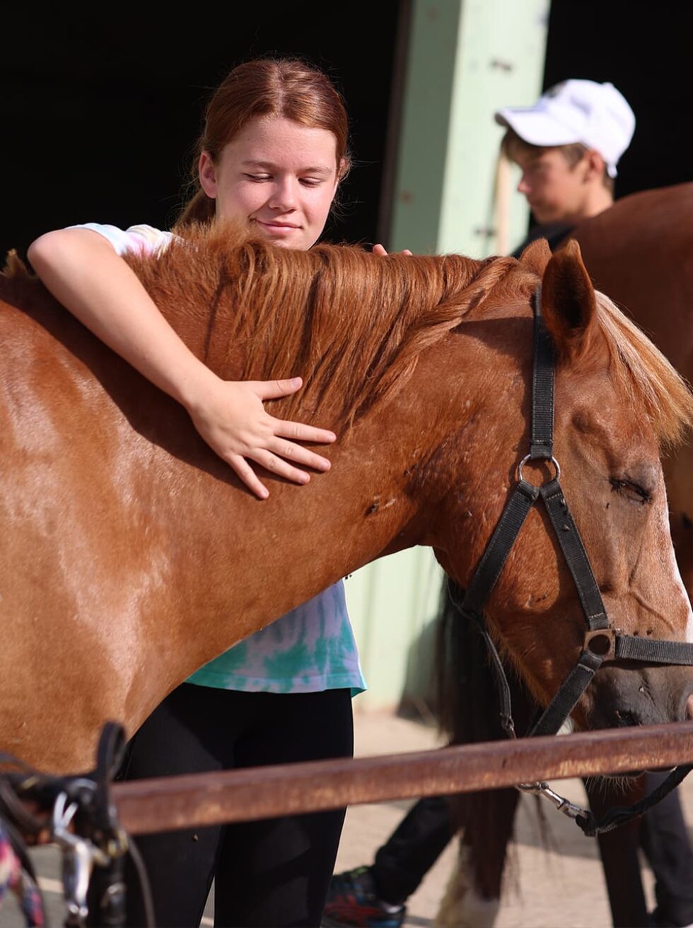 Animateur Équitation (AE) - UDSIS