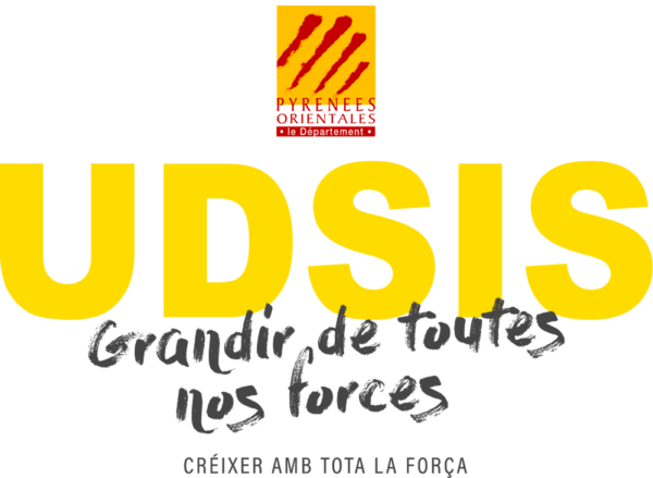 Organigramme des services - UDSIS