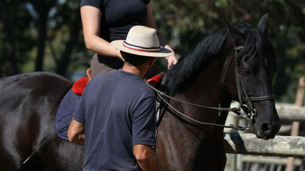 Animateur Équitation (AE) - UDSIS